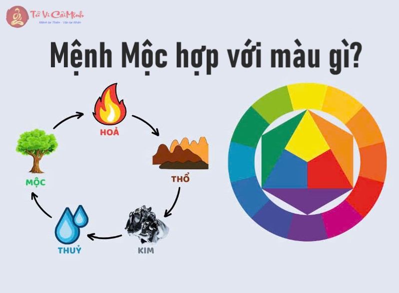 Mệnh Mộc Hợp Màu Gì? Bí Quyết Chọn Sắc May Mắn 2025 - Lịch Vạn Niên